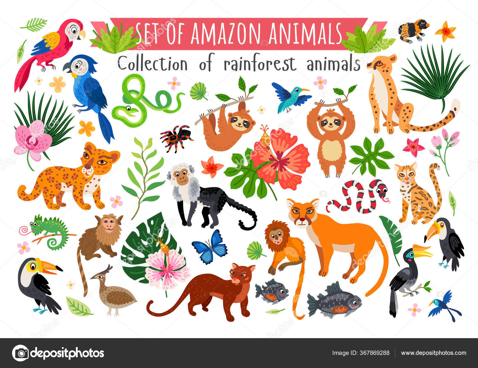 Lindos Animales De La Selva Amazónica