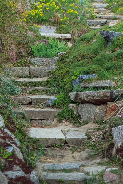 The old stone steps on a hill rising on either side grass. Stone stairs ...
