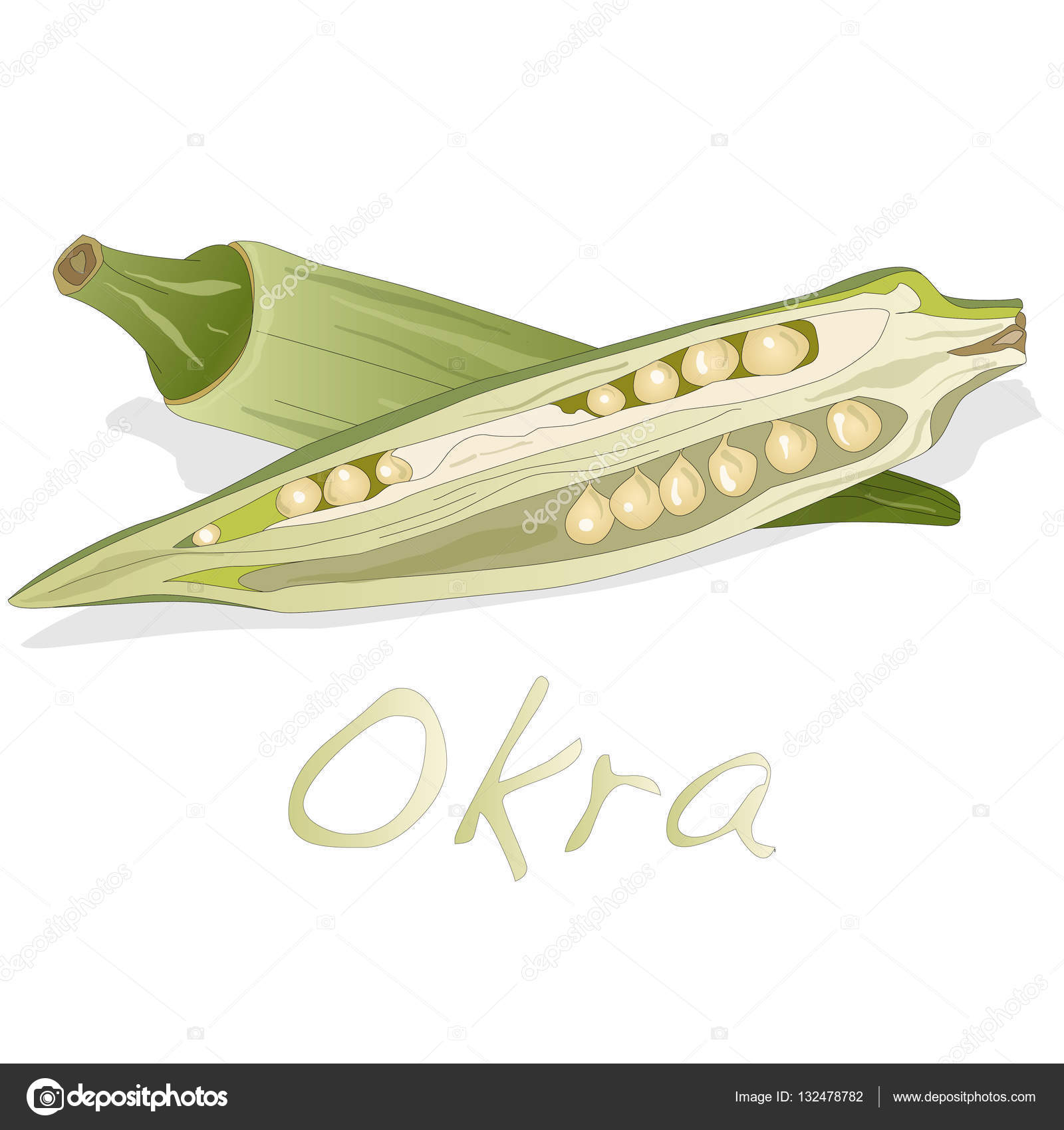 Okra Plant Drawing