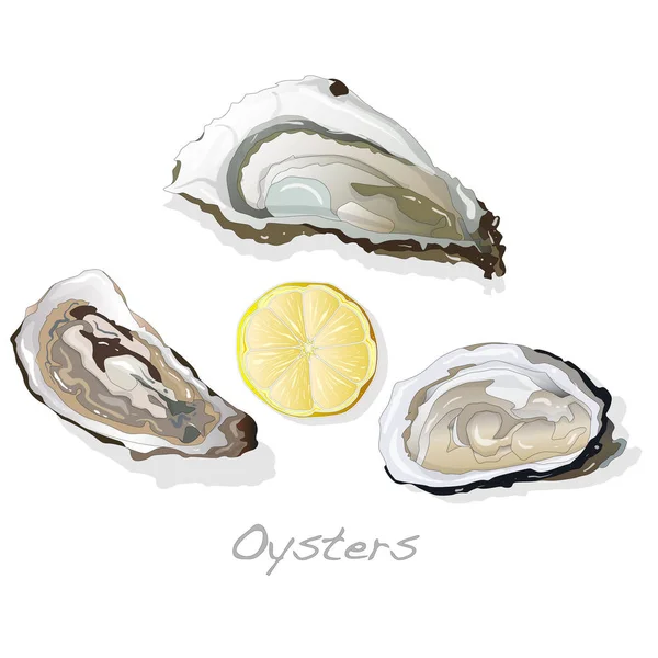 Color ostra fotos de stock, imágenes de Color ostra sin royalties ...