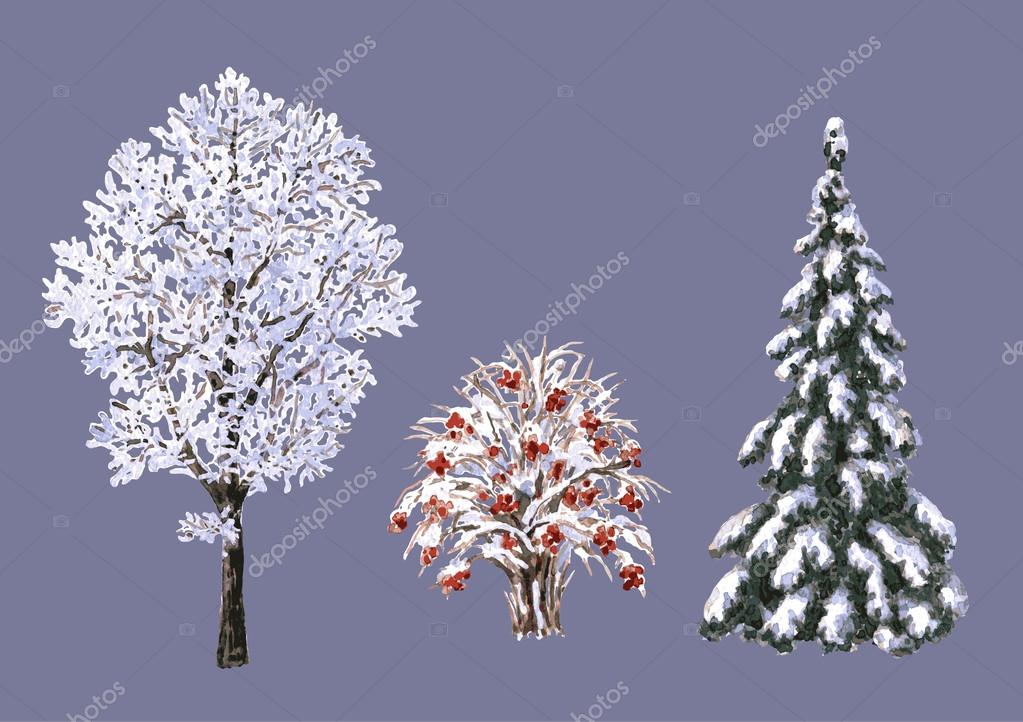 Winter Trees and Bush — Stock Vector © Valiva #125420542