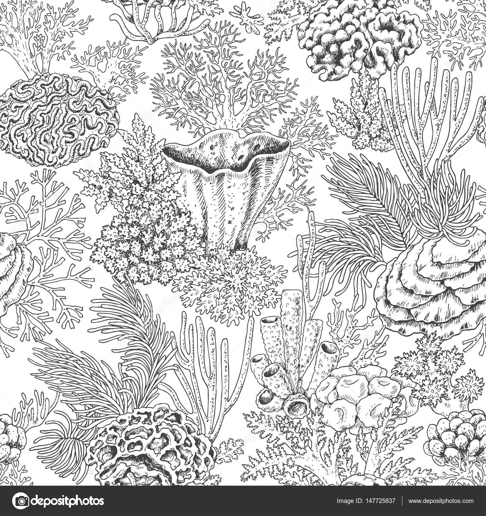 Coral Pattern Vector
