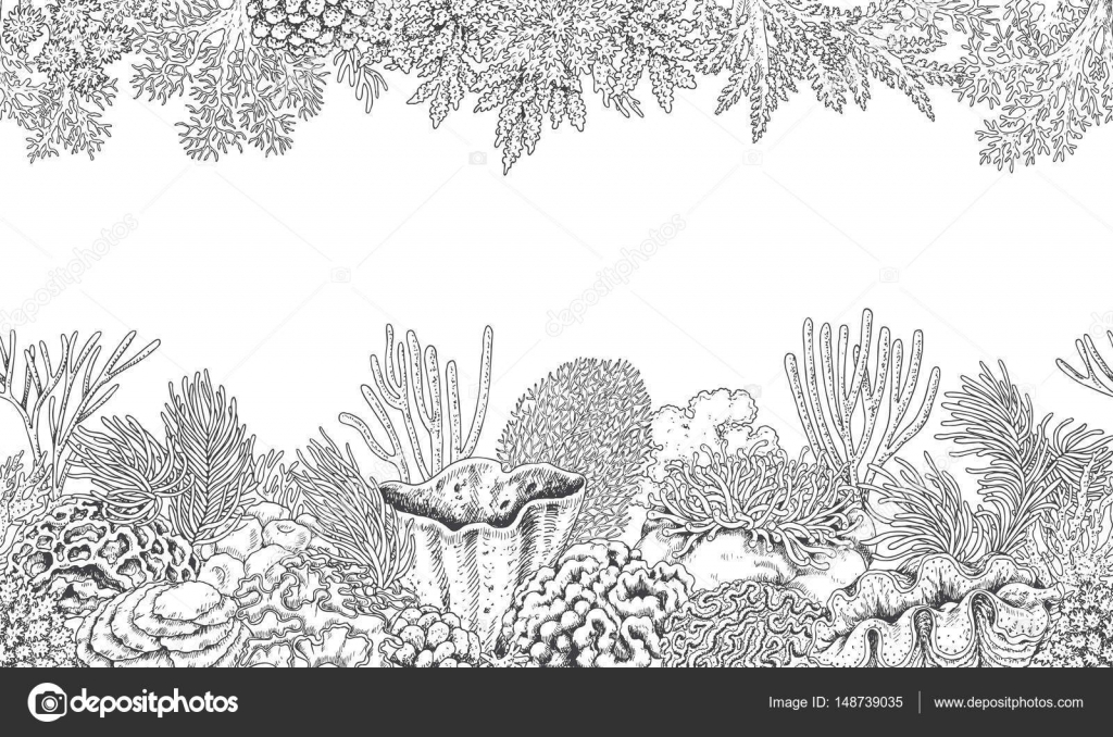 Coral reef line drawing | Coral Reef Line Horizontal Pattern — Stock ...