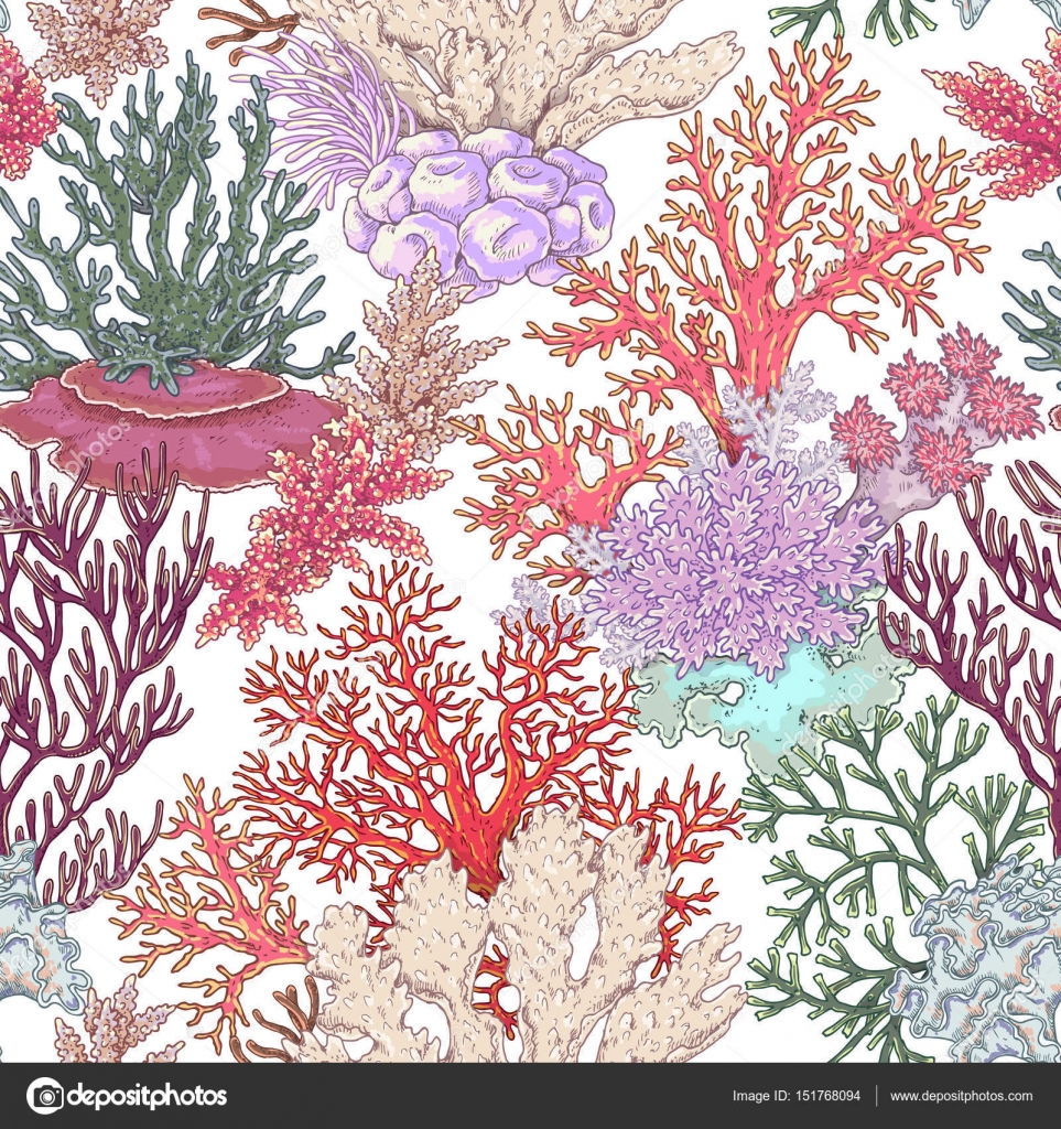 Coral Reef Pattern Stock Vector Image by ©Valiva #151768094