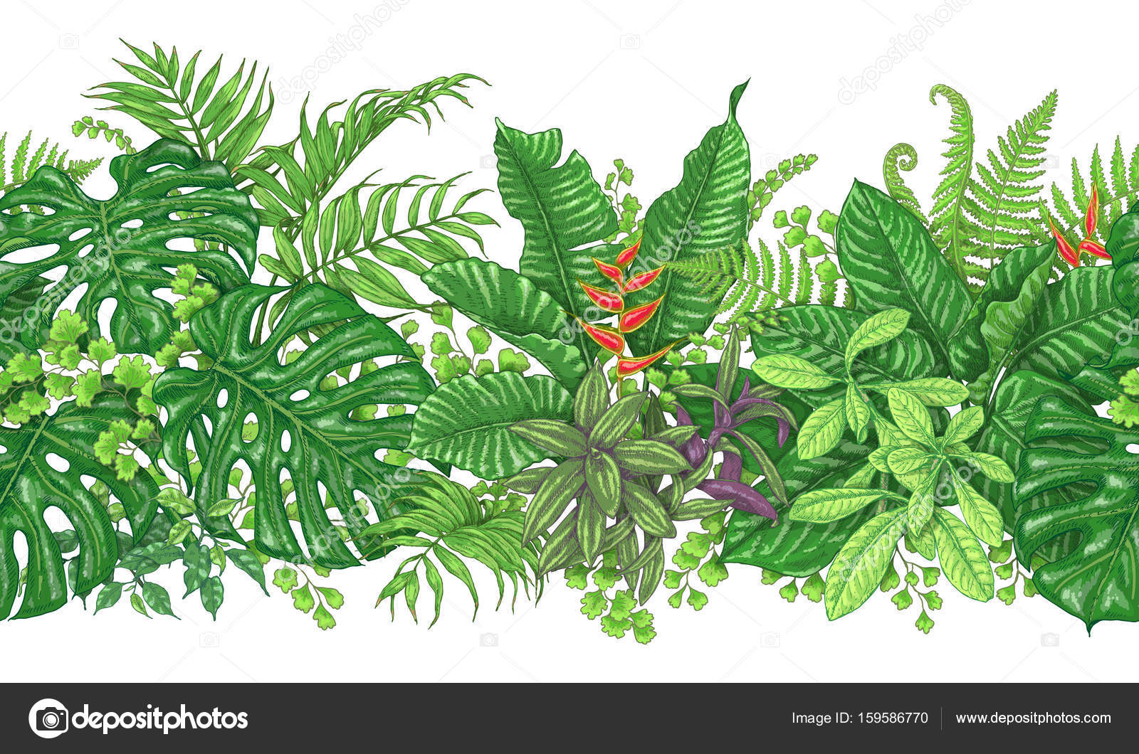 Tropical Plants Line Horizontal Pattern Stock Vector by ©Valiva 159586770