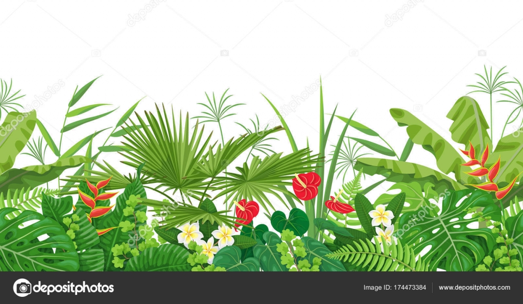 Tropical Plants Seamless Border Stock Vector Image by ©Valiva #174473384