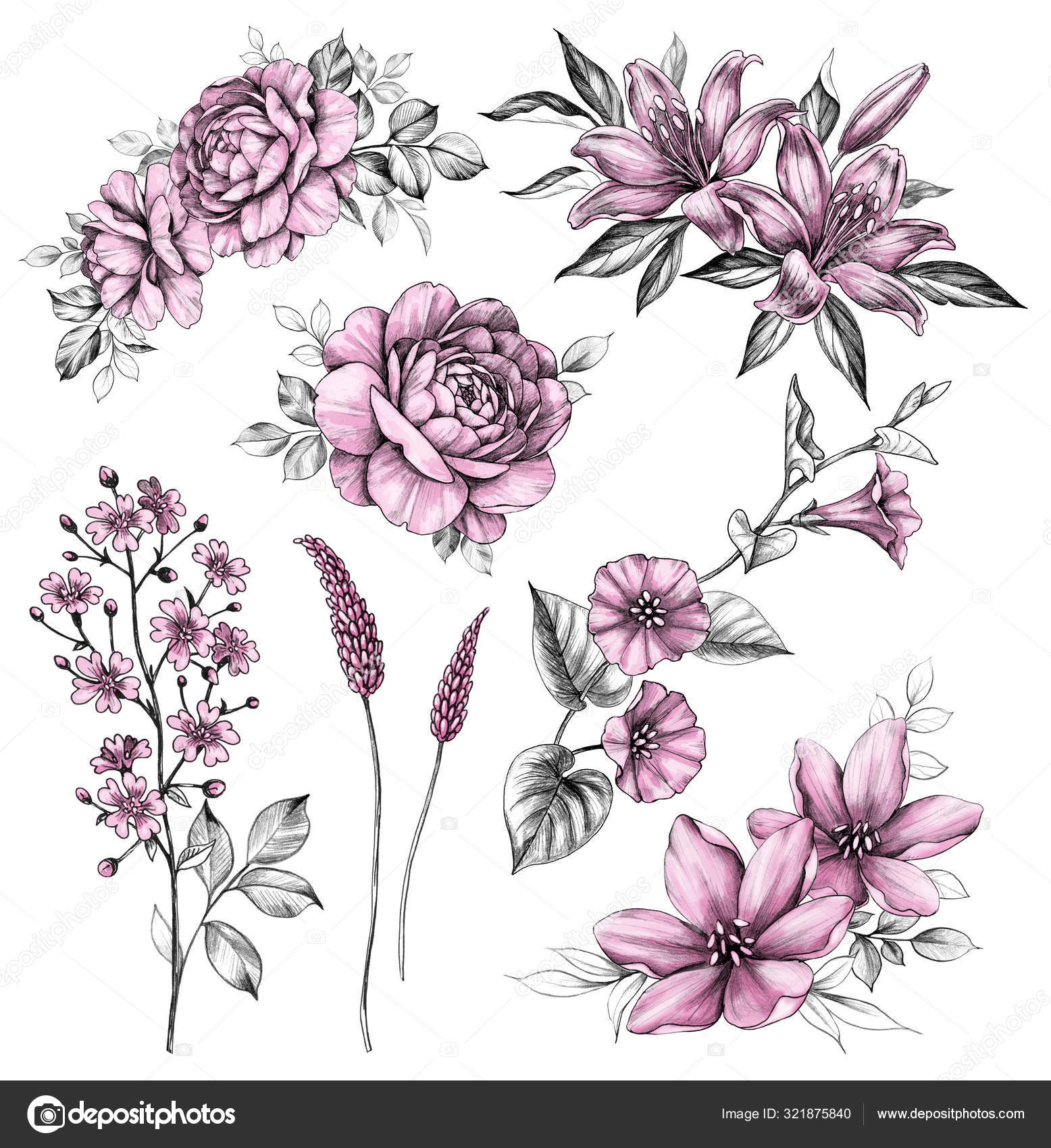 Hand Drawn Beautiful Pink Flowers Set Stock Illustration by ©Valiva ...