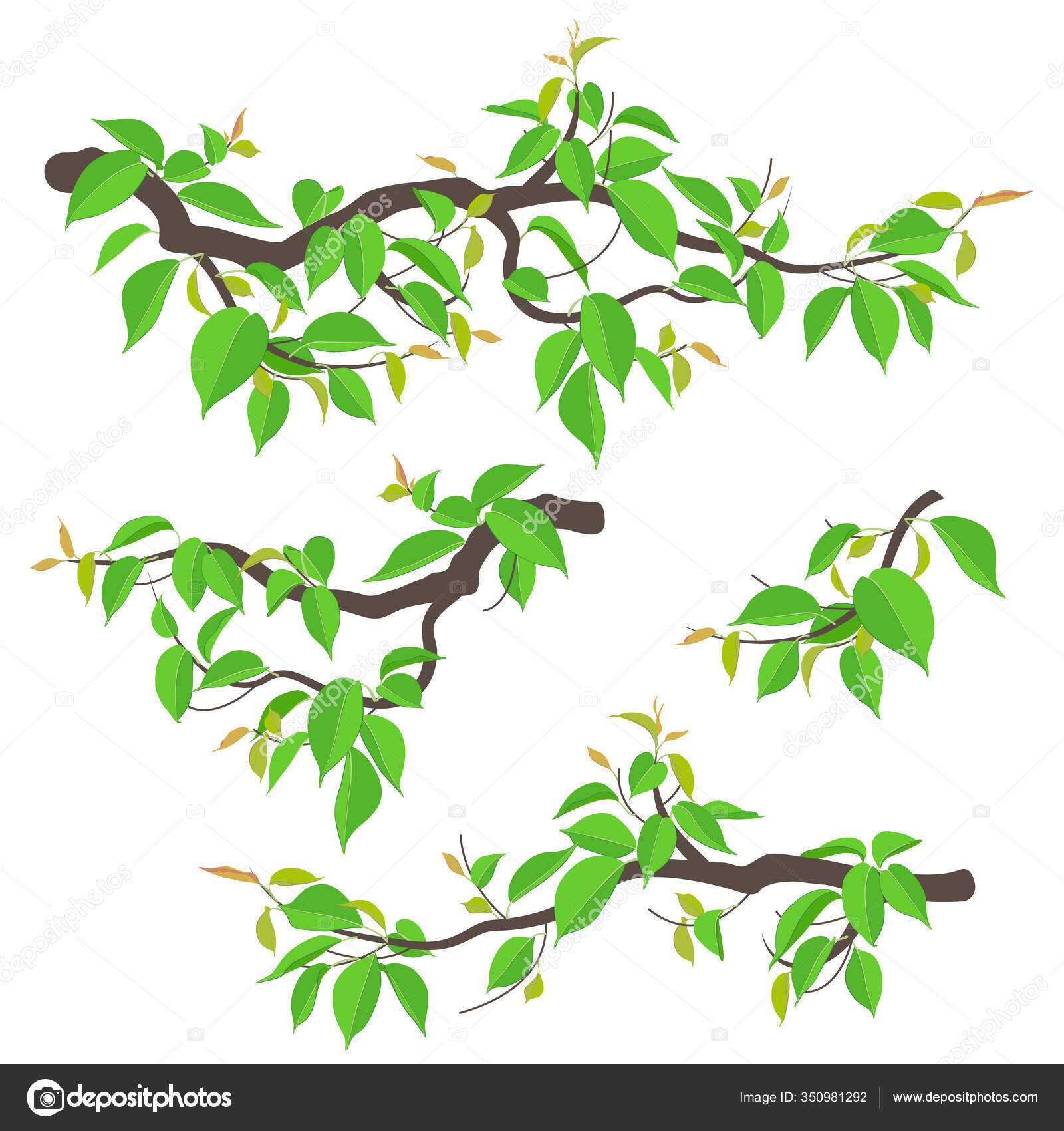 Simple Tree Branch Vector