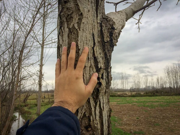 Touching the nature. Male hand touching a tree. Love for the nature ...