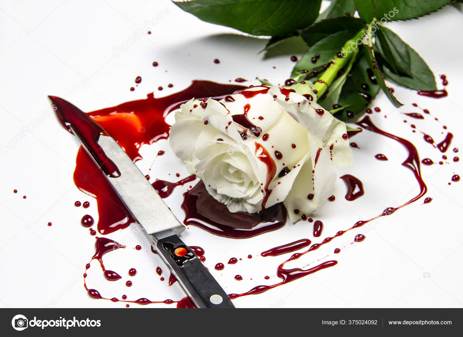 Bloody White Rose Wallpaper