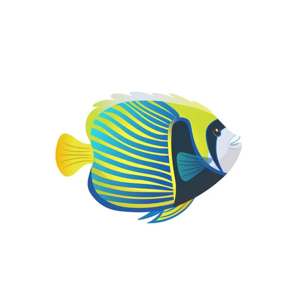 Emperor angelfish cartoon isolated illustration. Pomacanthus imperator ...