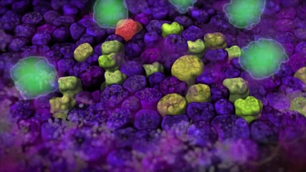 Cytotoxic Cells Destroy Tumor Cells — Stock Video © scienceanm #344739292