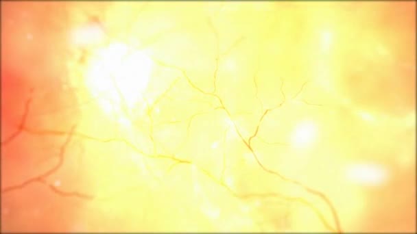 Medical Animation Microscopic Retinal Layer — Stock Video © scienceanm ...