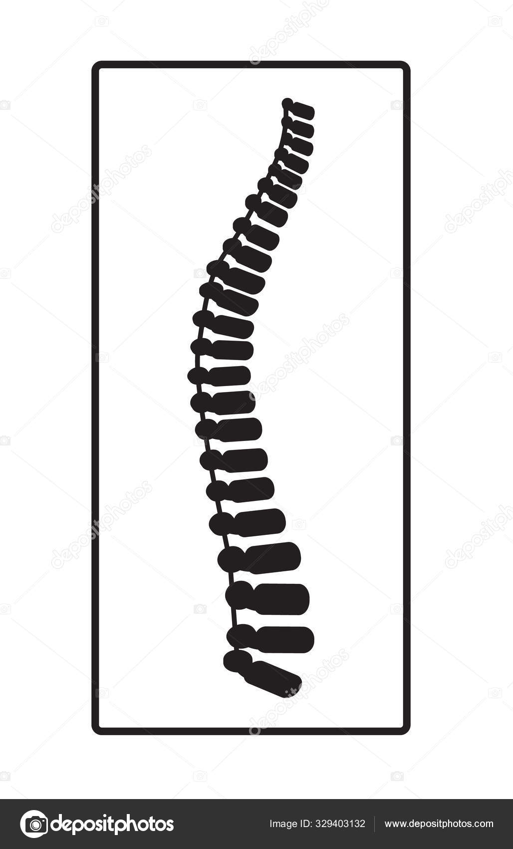 Arthritis icon. Osteopath practice. Osteoporosis sign, osteoarthritis ...