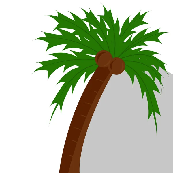 Coconut tree — Stock Vector © interactimages #10274085 Coconut tree — Stock Vector © interactimages #10274085