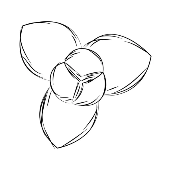 Doodle de lupa Stock Photos, Royalty Free Doodle de lupa Images ...