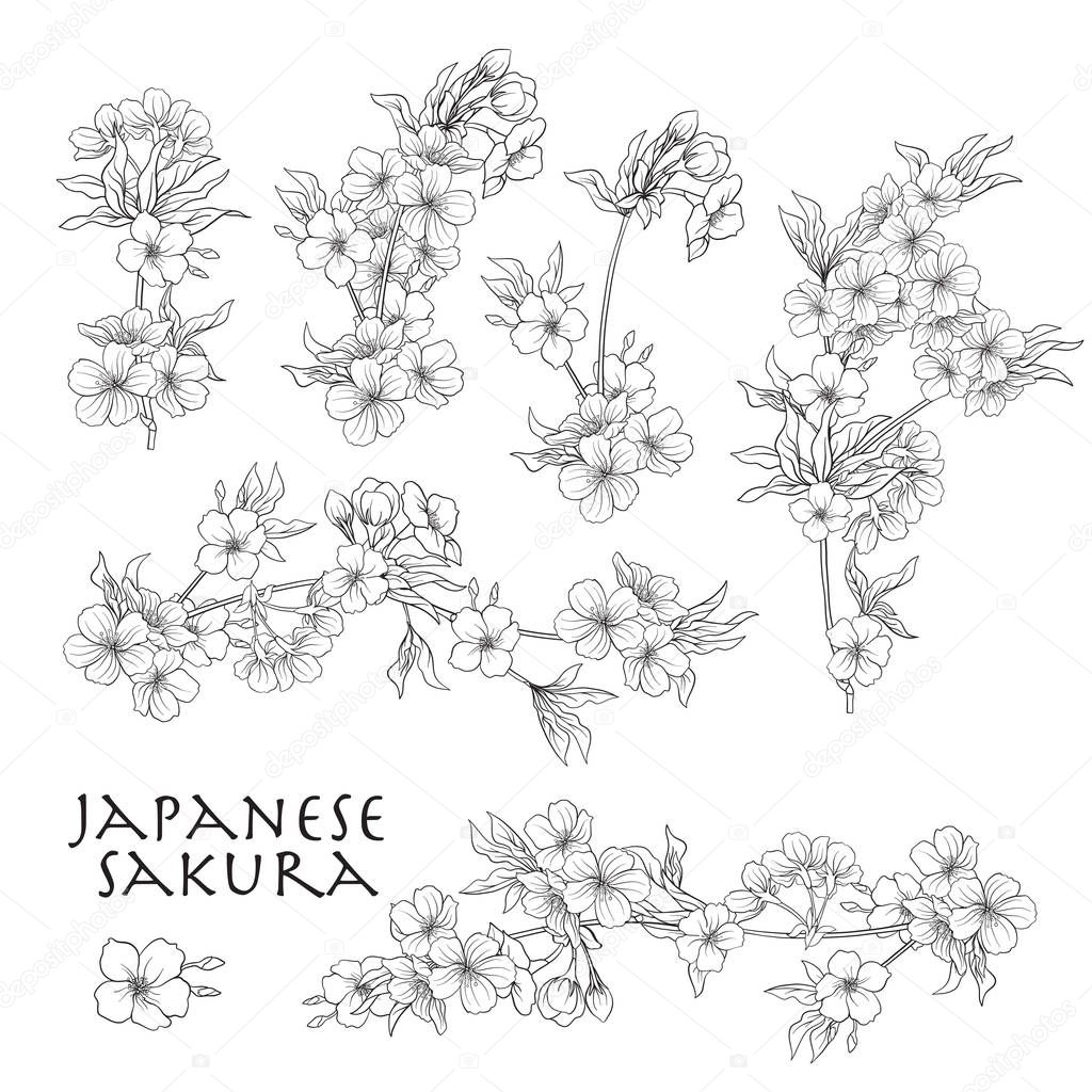 Cherry Blossom Stencil Outline