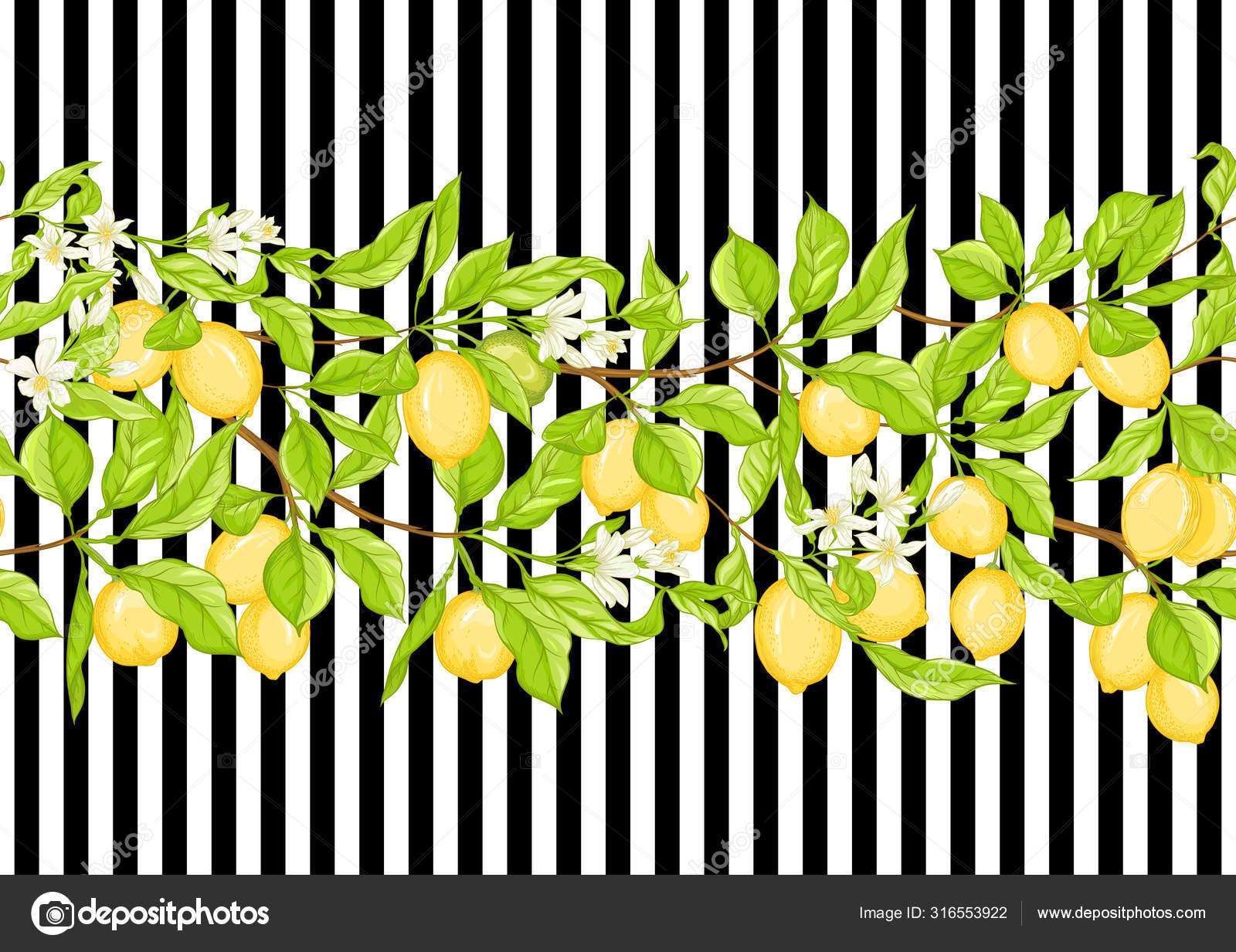 Lemon tree branch with lemons Stock Vector by ©ElenaBesedina 316553922