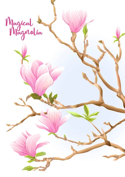 Magnolia tree branch with flowers. Stock Vector Image by ©ElenaBesedina ...