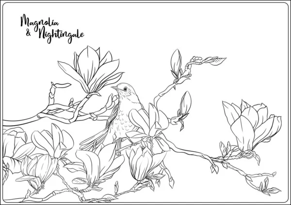 Magnolia Branch Line Drawing