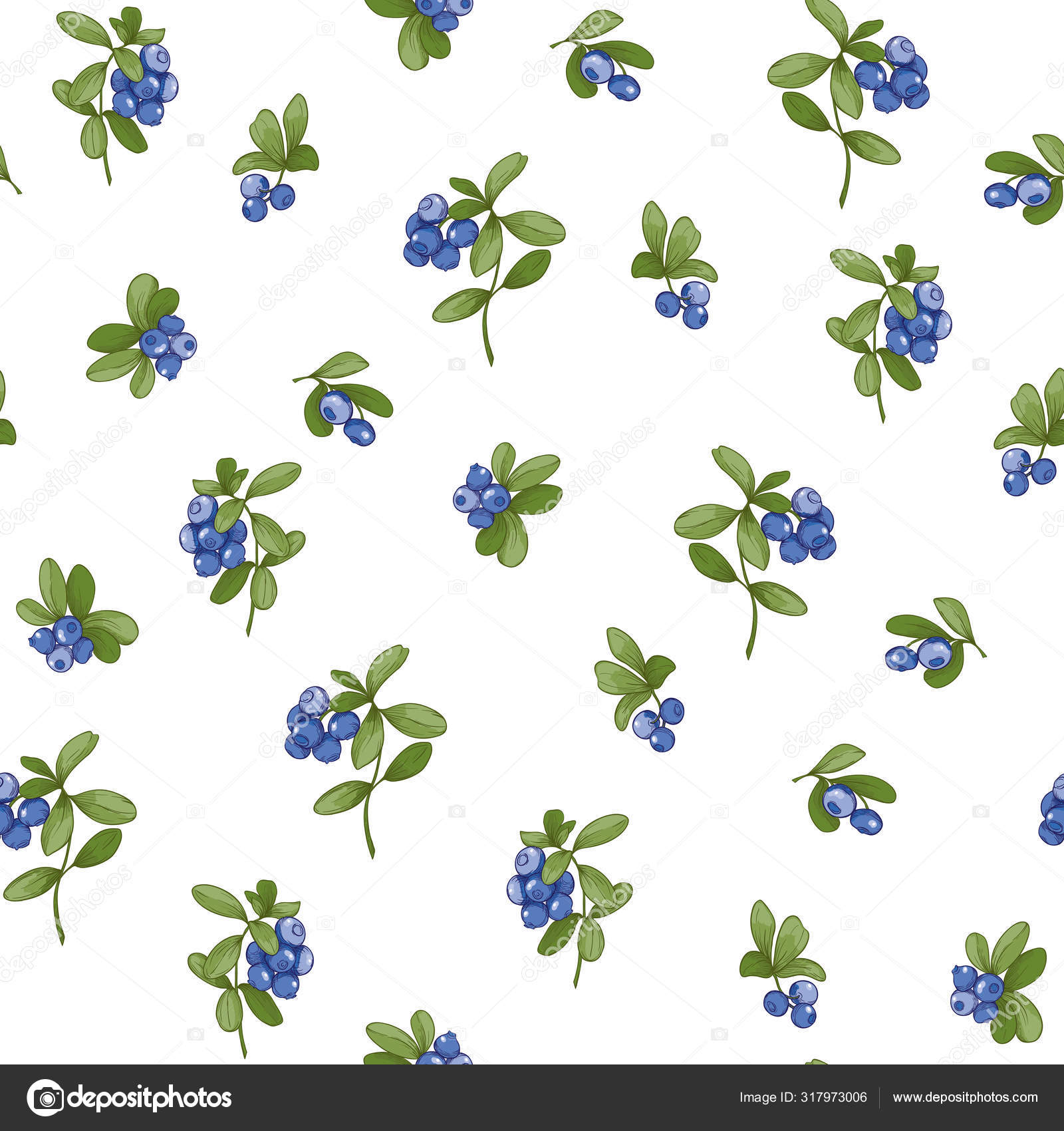 Blueberry and snow Stock Vector by ©ElenaBesedina 317973006