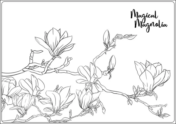 Magnolia tree branch Stock Vector Image by ©ElenaBesedina #316518374