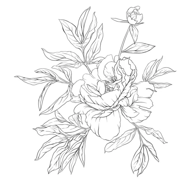 Isolated outline rose flower. Stock vector illustration. Stock Vector by ©ElenaBesedina 167086746