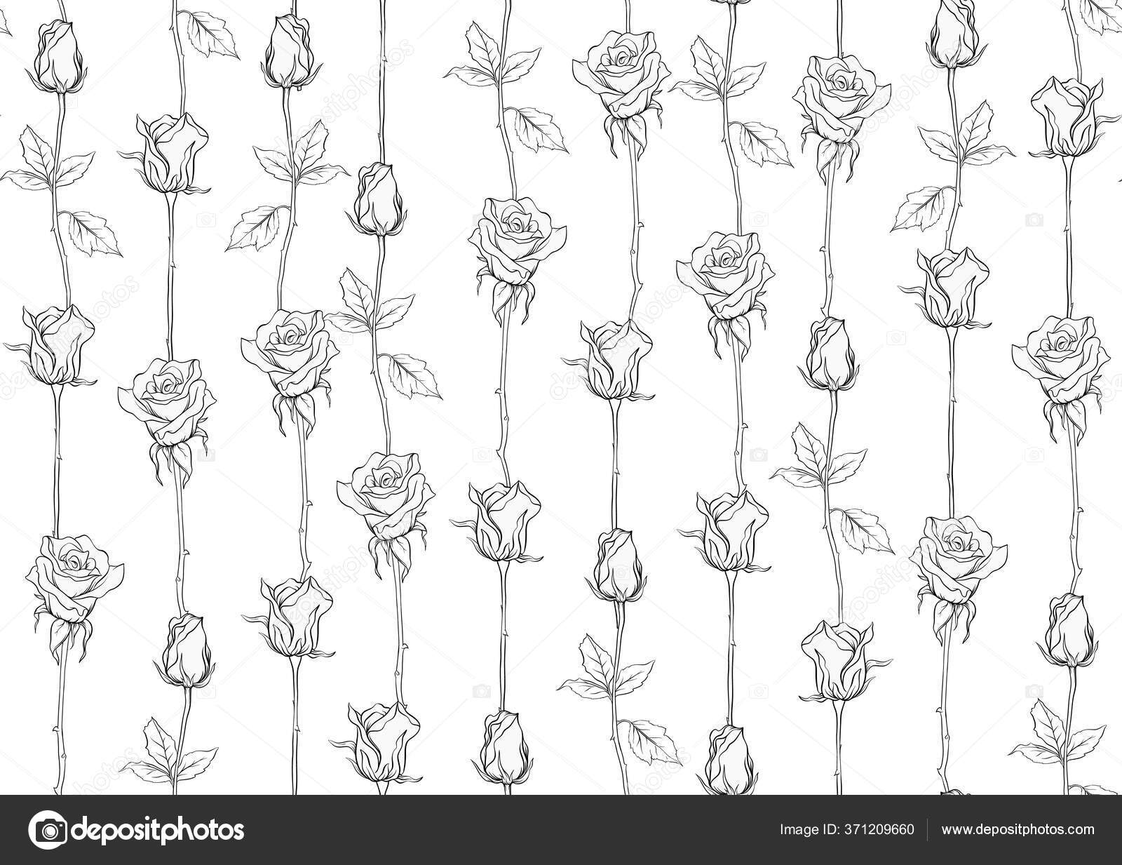 Outline roses seamless pattern, background. Stock Illustration by ...
