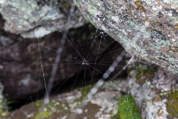 Spider web cave Stock Photos, Royalty Free Spider web cave Images ...