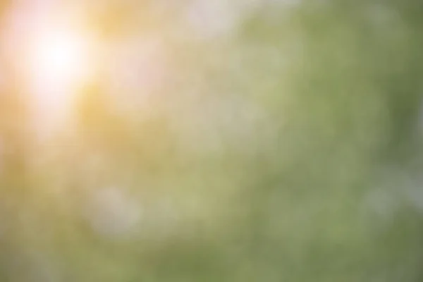 Bokeh green nature, Subtle background in abstract style for graphic ...