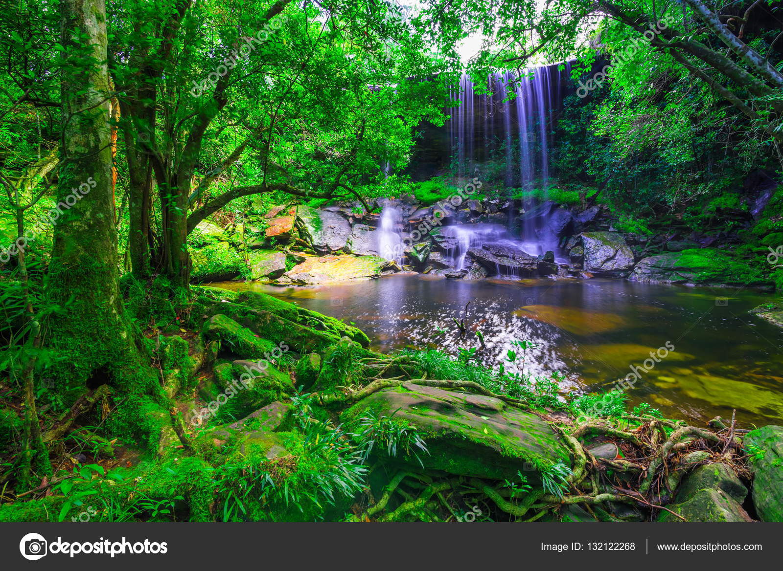 Most Beautiful Rainforests In The World