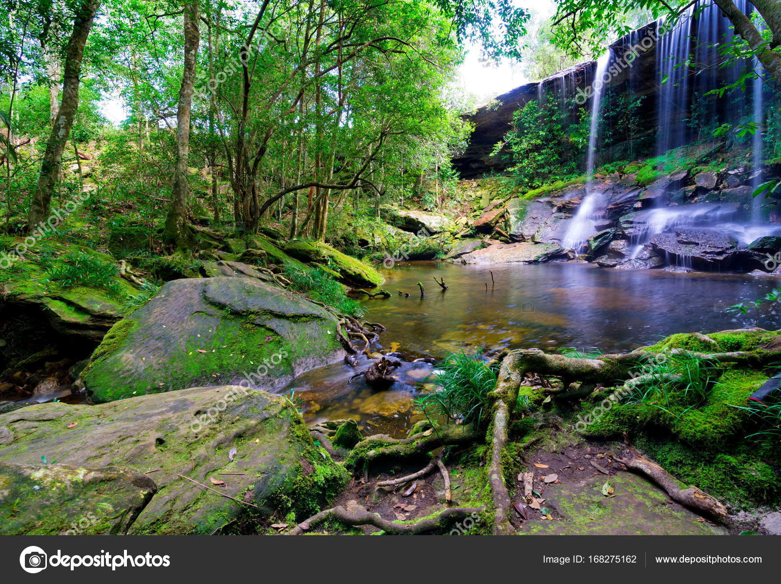 Pretty Tropical Rainforest With Waterfall
