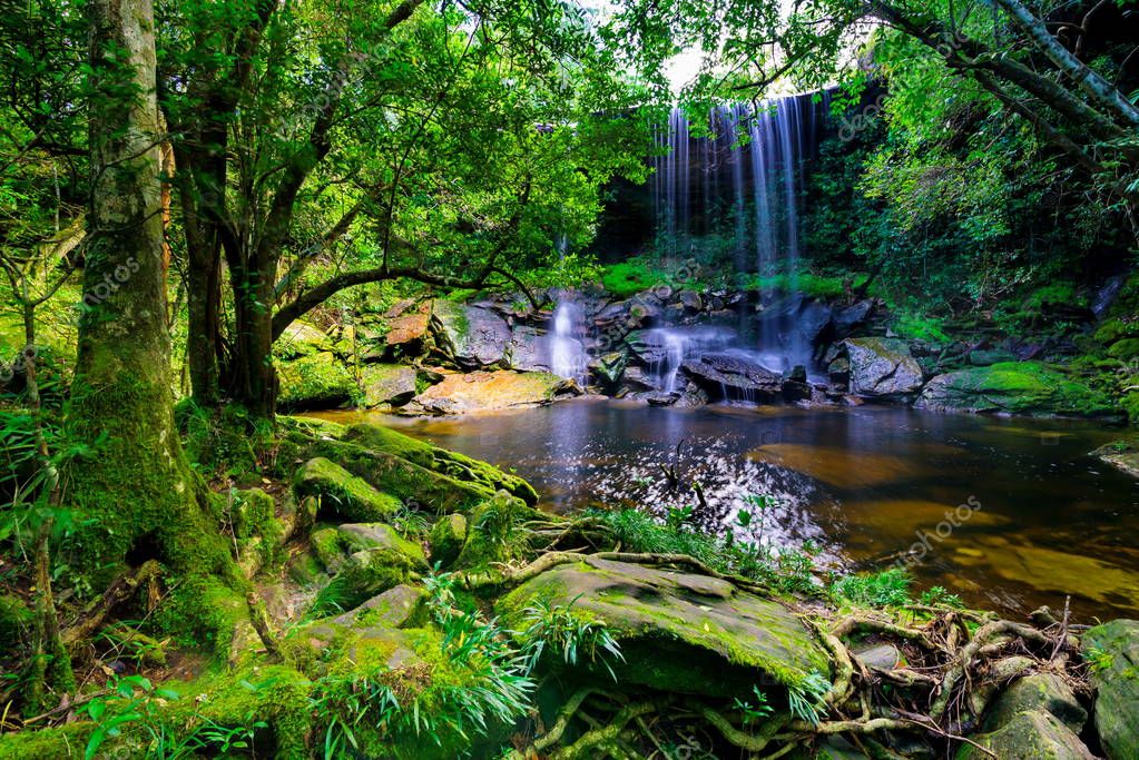 Tropical rainforest waterfall | Beautiful tropical rainforest waterfall ...