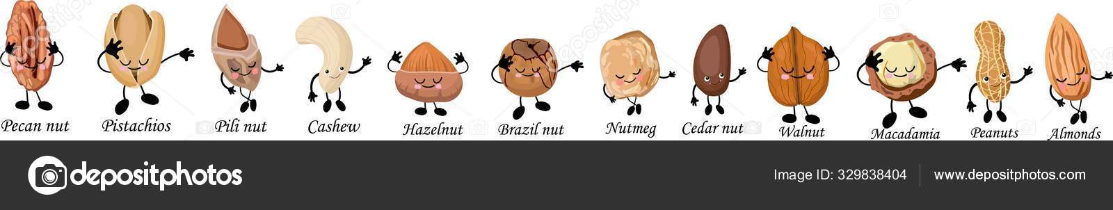 Large set of nuts characters. Hands and feet, eyes. Useful and fresh ...