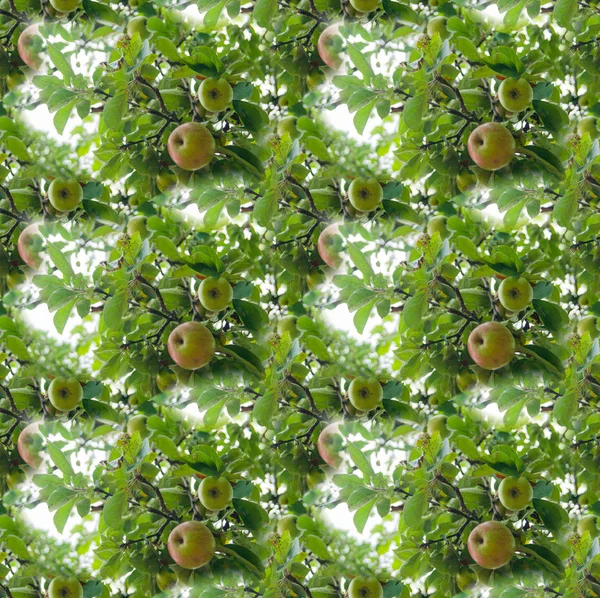 Textiles, wallpapers, packaging. Apple Orchard - Stock Image - Everypixel