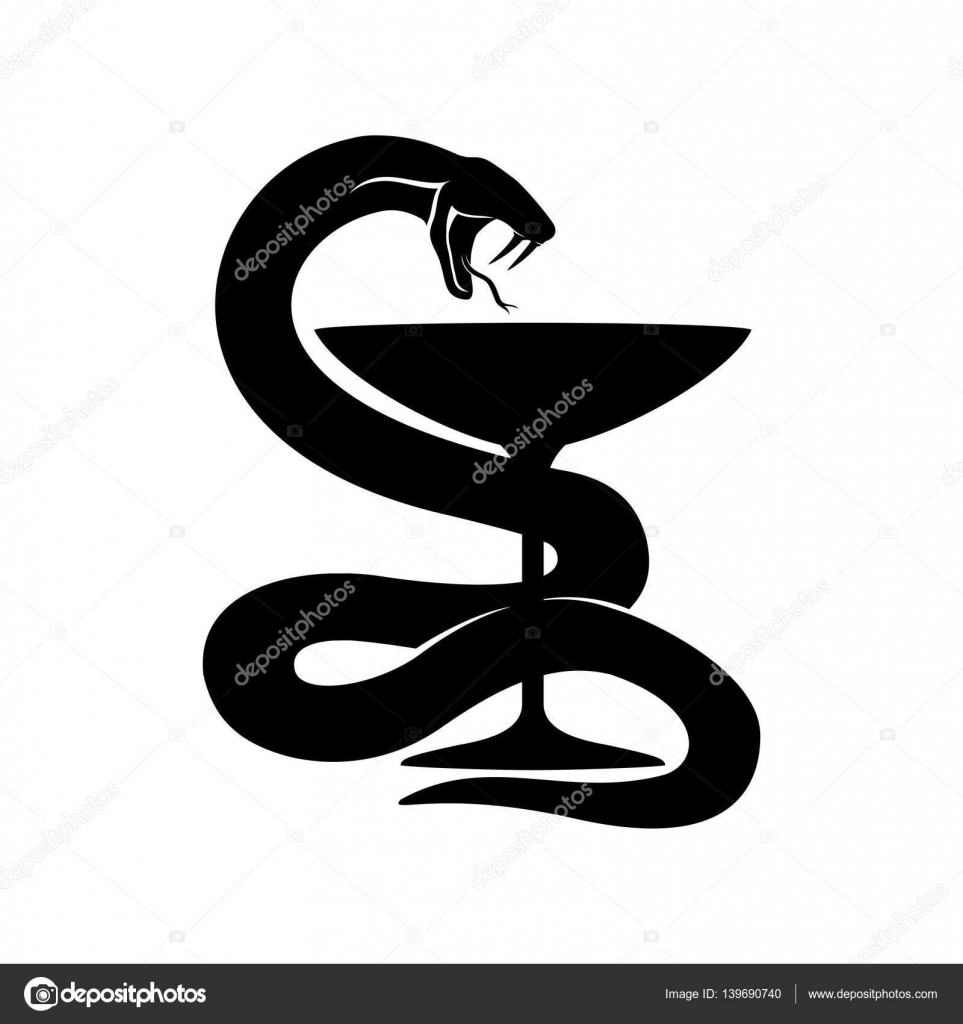 Snake with a cup. Stock Vector Image by ©taronin #139690740