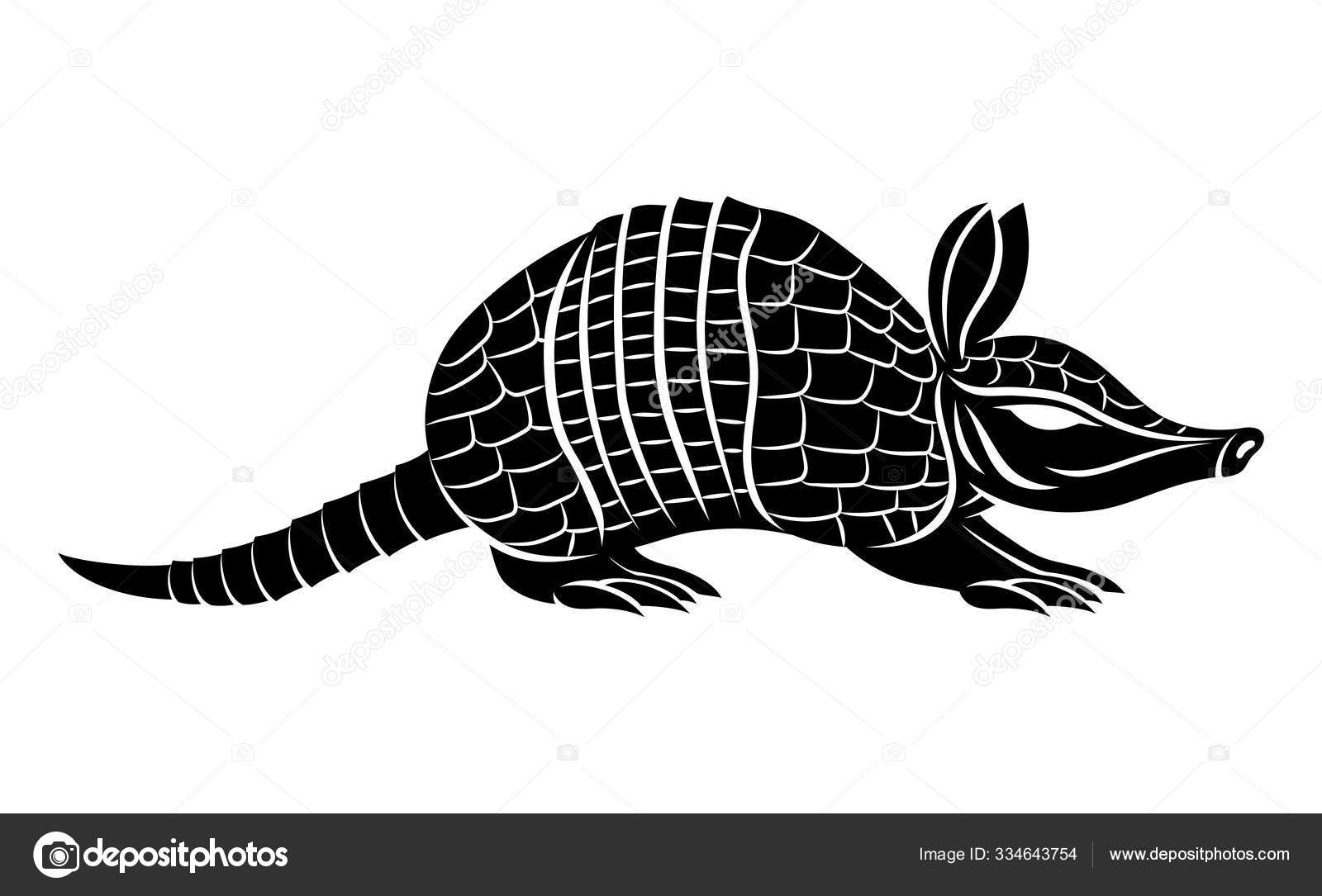Armadillo Clipart Black And White