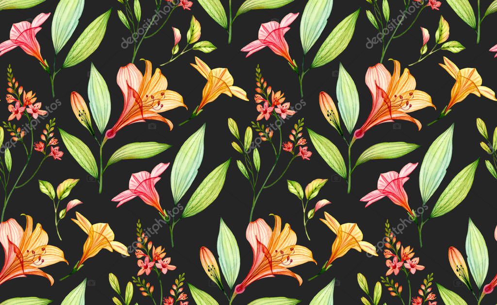 Patr n tropical sin costuras sobre fondo bleck. Acuarela Lirio transparente, freesia, flores de ...