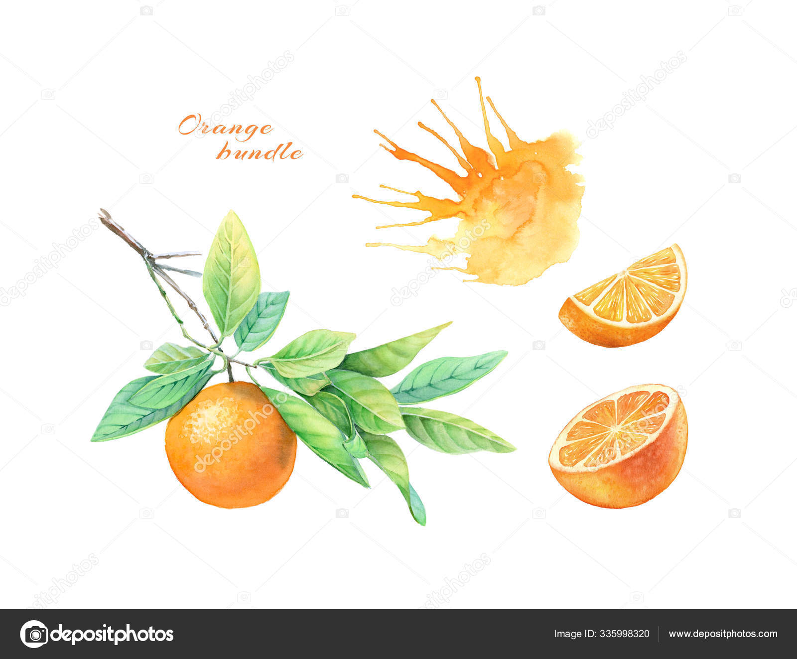 Exotic Orange Fruits
