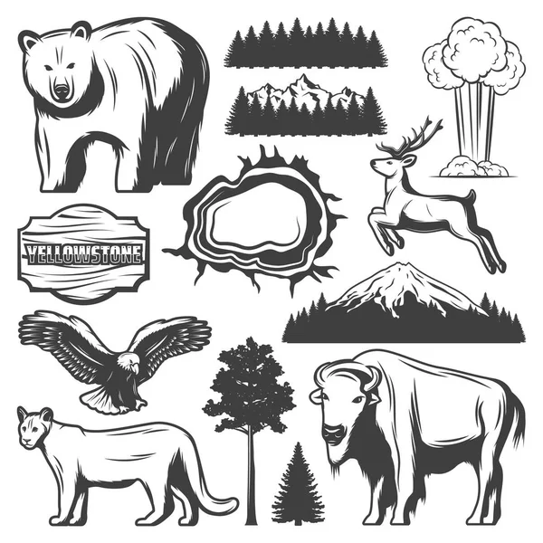 National park Vector Art Stock Images | Depositphotos