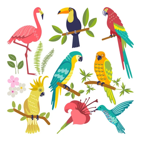 Aves tropicales imágenes de stock de arte vectorial | Depositphotos