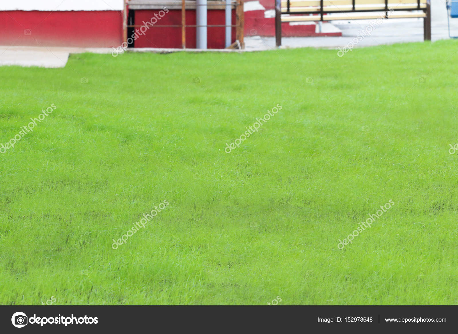 Beautiful clean lawn grass is bright green near the house — Stock Photo ...