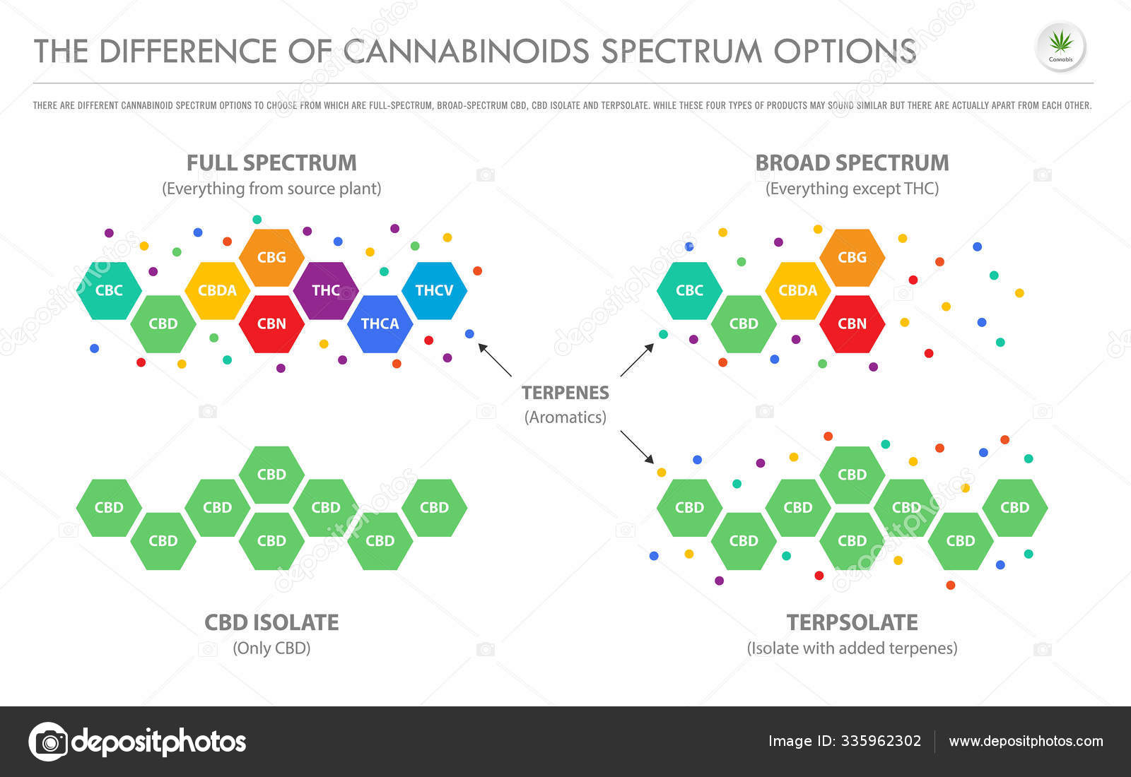 The Difference of Cannabinoids Spectrum Options horizontal business ...