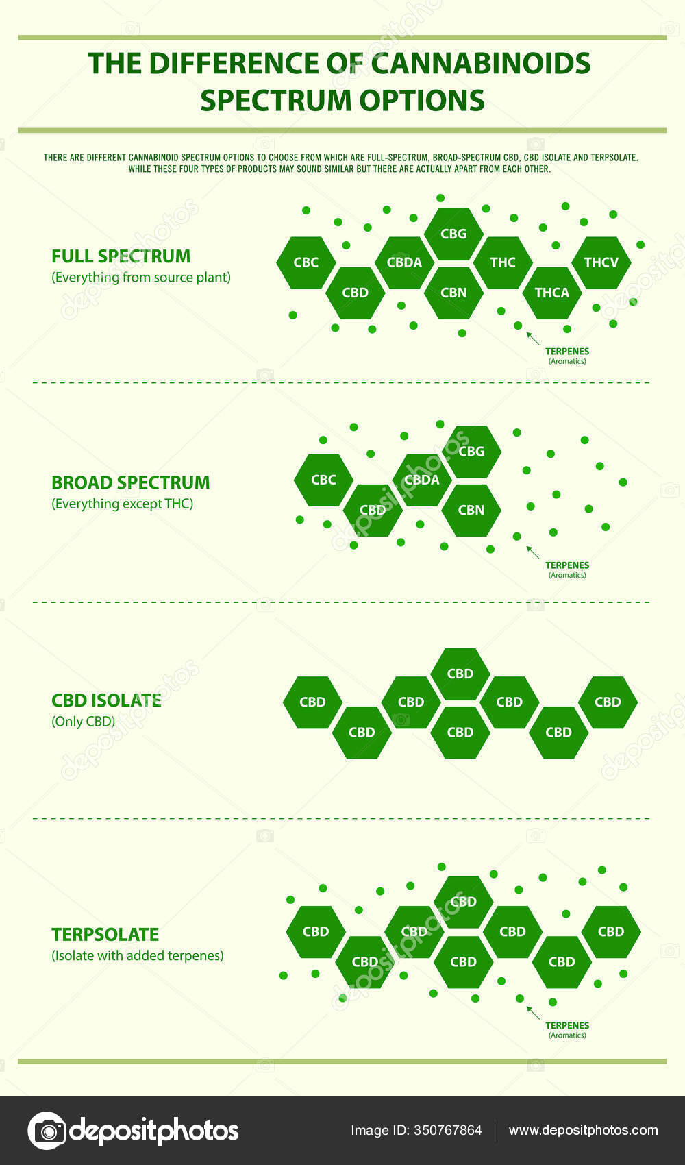 Difference Cannabinoids Spectrum Options Ilustración Infográfica ...
