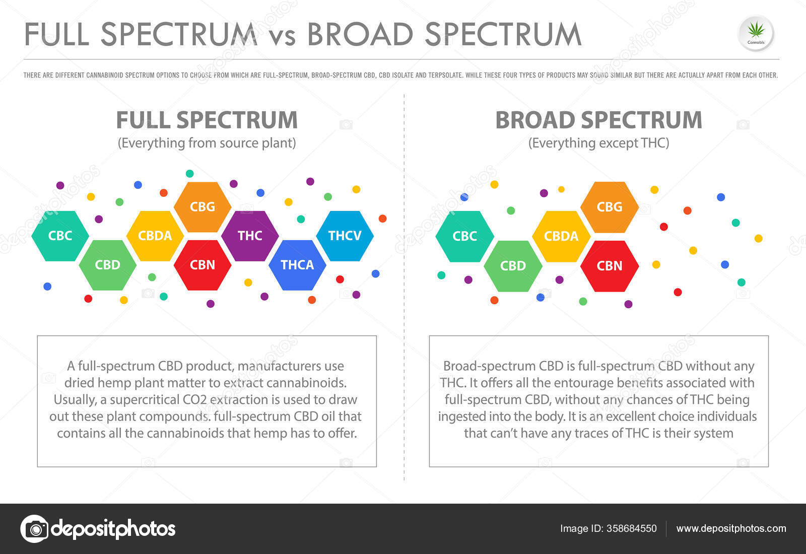 Full Spectrum Broad Spectrum Horizontal Business Infographic ...