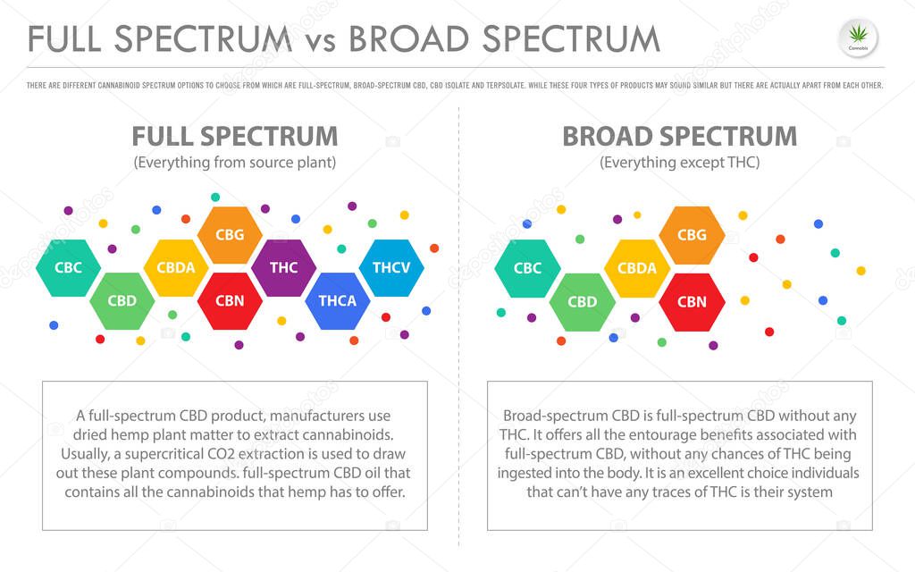 Infografía comercial horizontal de Full Spectrum vs Broad Spectrum ...