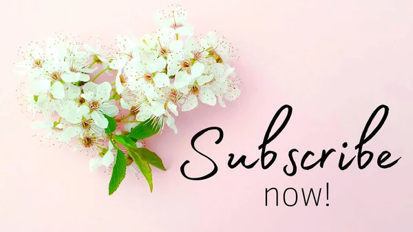 Now sign Stock Photos, Royalty Free Now sign Images | Depositphotos