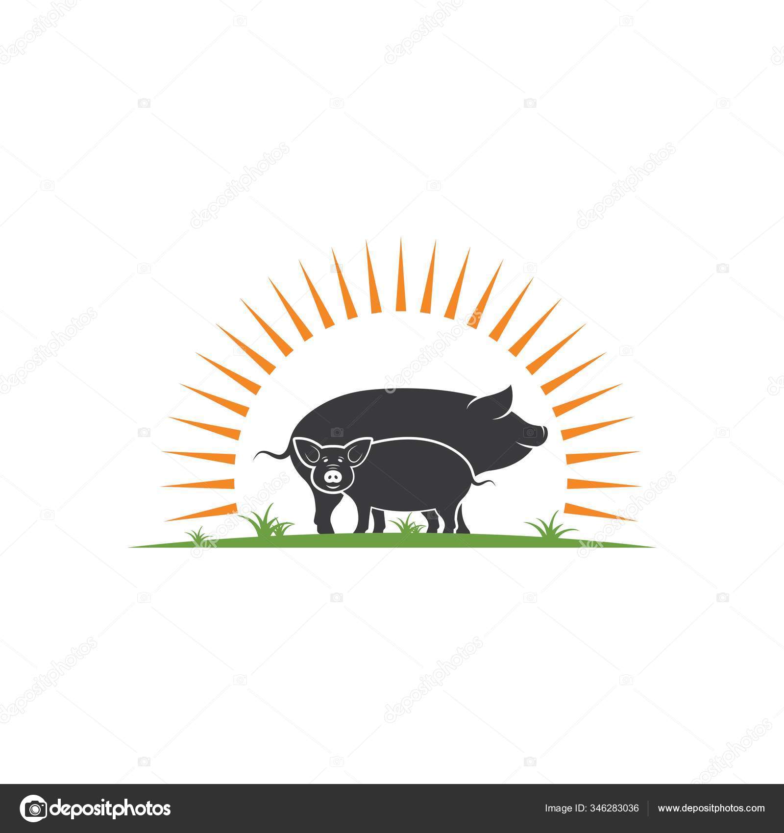 Icono Vector Cerdo Plantilla Diseño Ilustración Vector de stock por ...