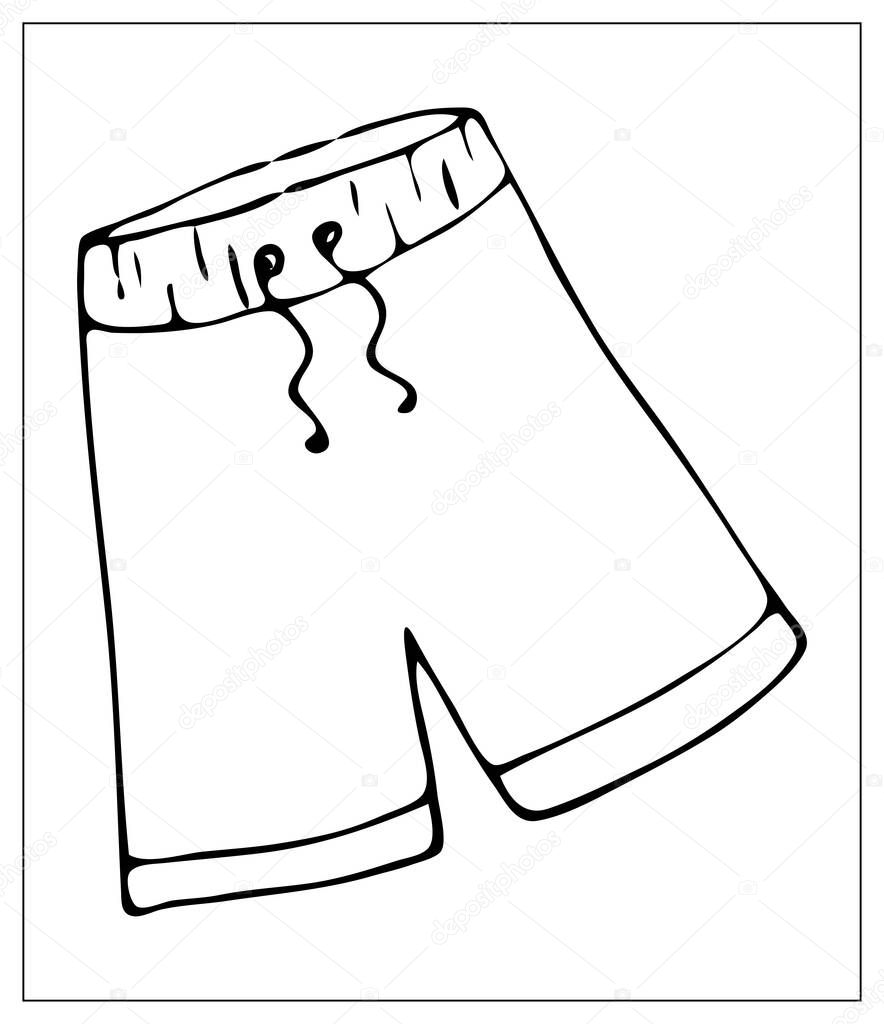 Ilustración vectorial con esquemas de Bermudas simples básicas. Dibujo ...