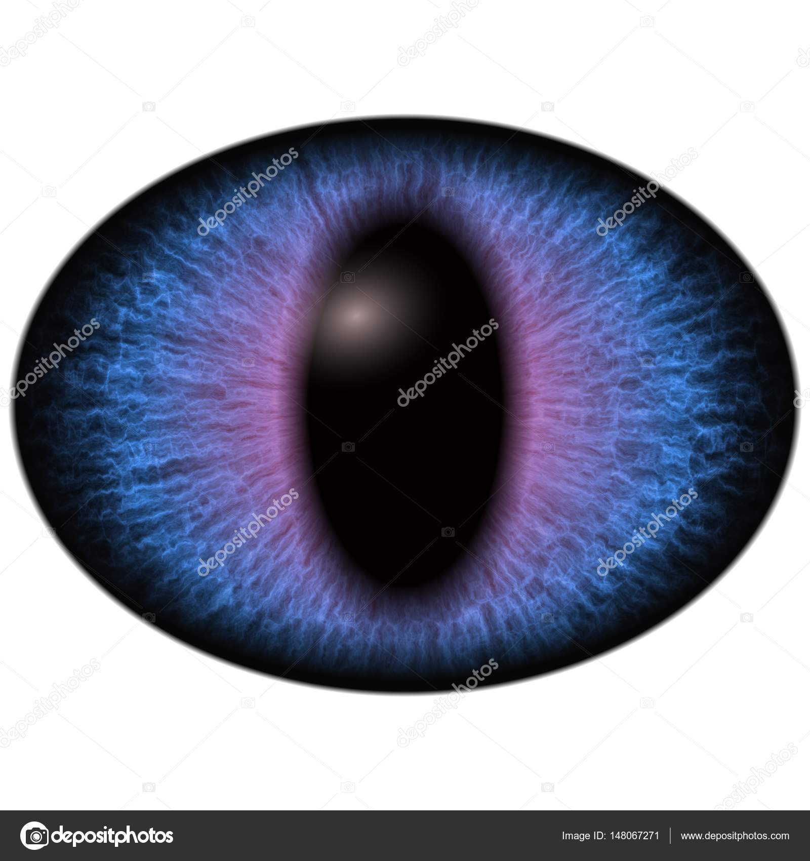 Isolated blue eye. Big elliptic eye with striped iris and dark thin ...